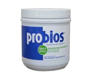 Probios Probiotic Supplement - Bartow, FL - Florida Farm & Ranch Supply